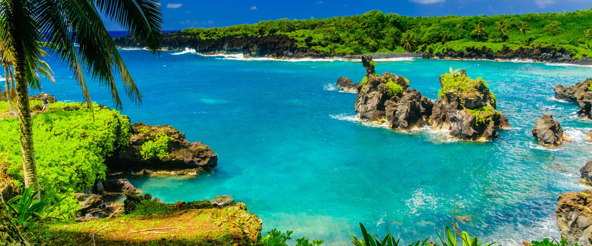 Hawaii's Open Budget: A Comparison to Other States